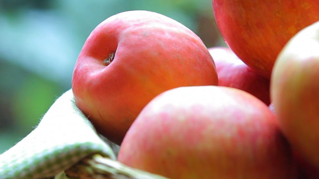 Basic Chicken & Apple baby food | Buona Pappa